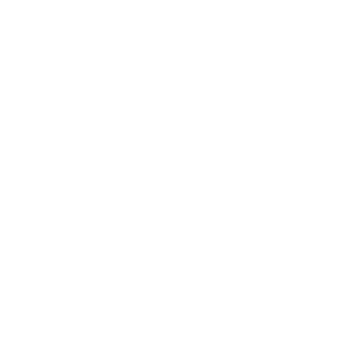 BSL Firearms | Guns and Ammo